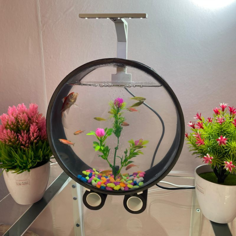 AQUARIUM Mini Bentuk Bulat Fullset Aestetic Ringan / Cocok Buat Di ...