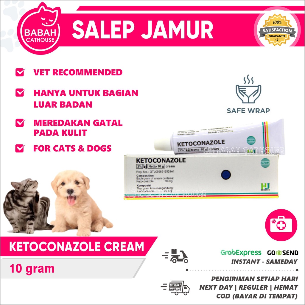KETOCONAZOLE CREAM 10GR OBAT GATAL SALEP JAMUR KUCING ALERGI KRIM UNTUK ...