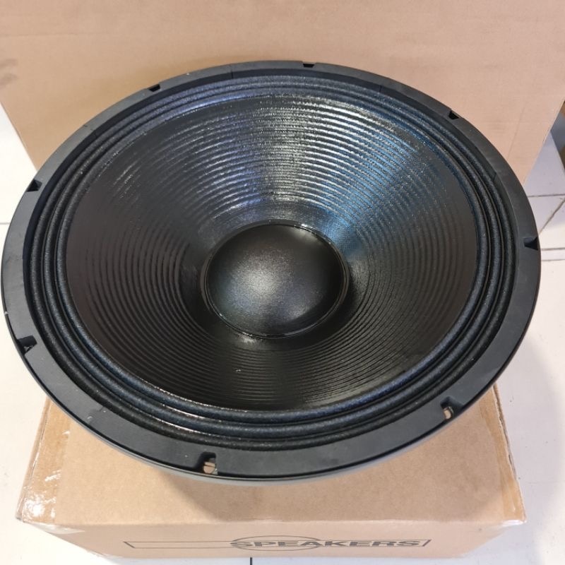 Speaker B&C 18TBX100 18 inch 18 TBX100 ( Subwoofer )Magnet cembung