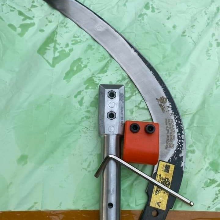 EGREK PALM KING KLS LONG klem baut 2